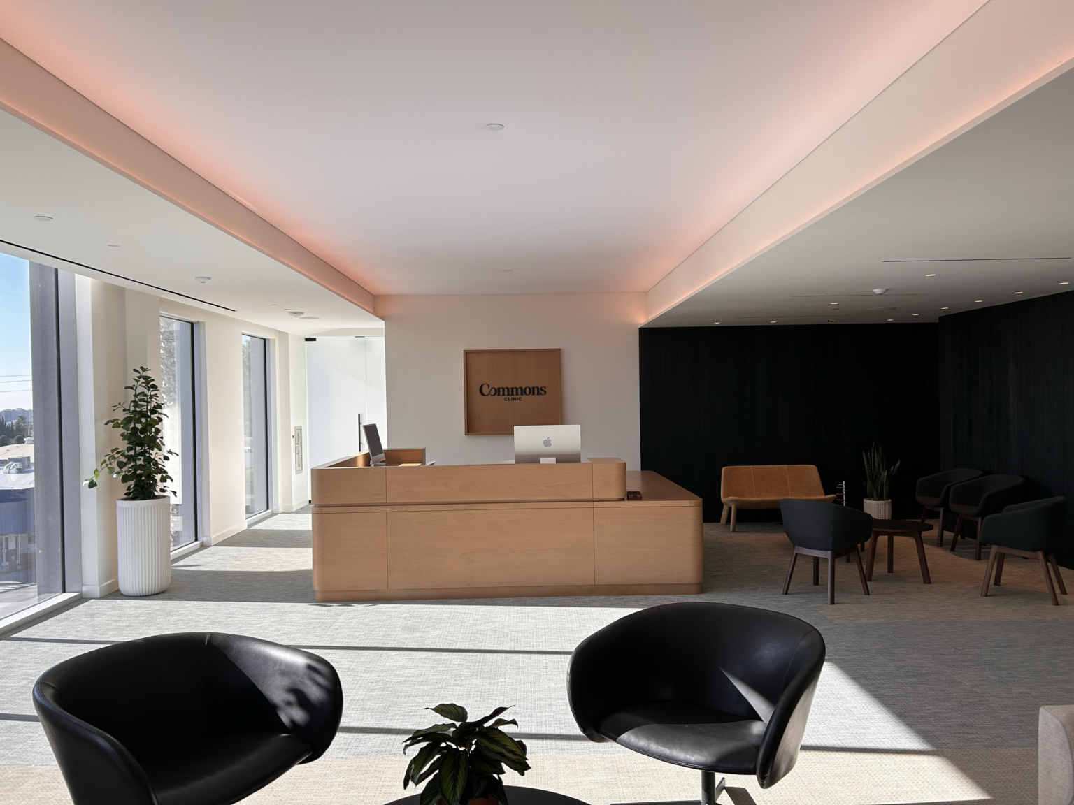 Evish Kamrava, MD - Commons Clinic - Specialty care that delivers ...