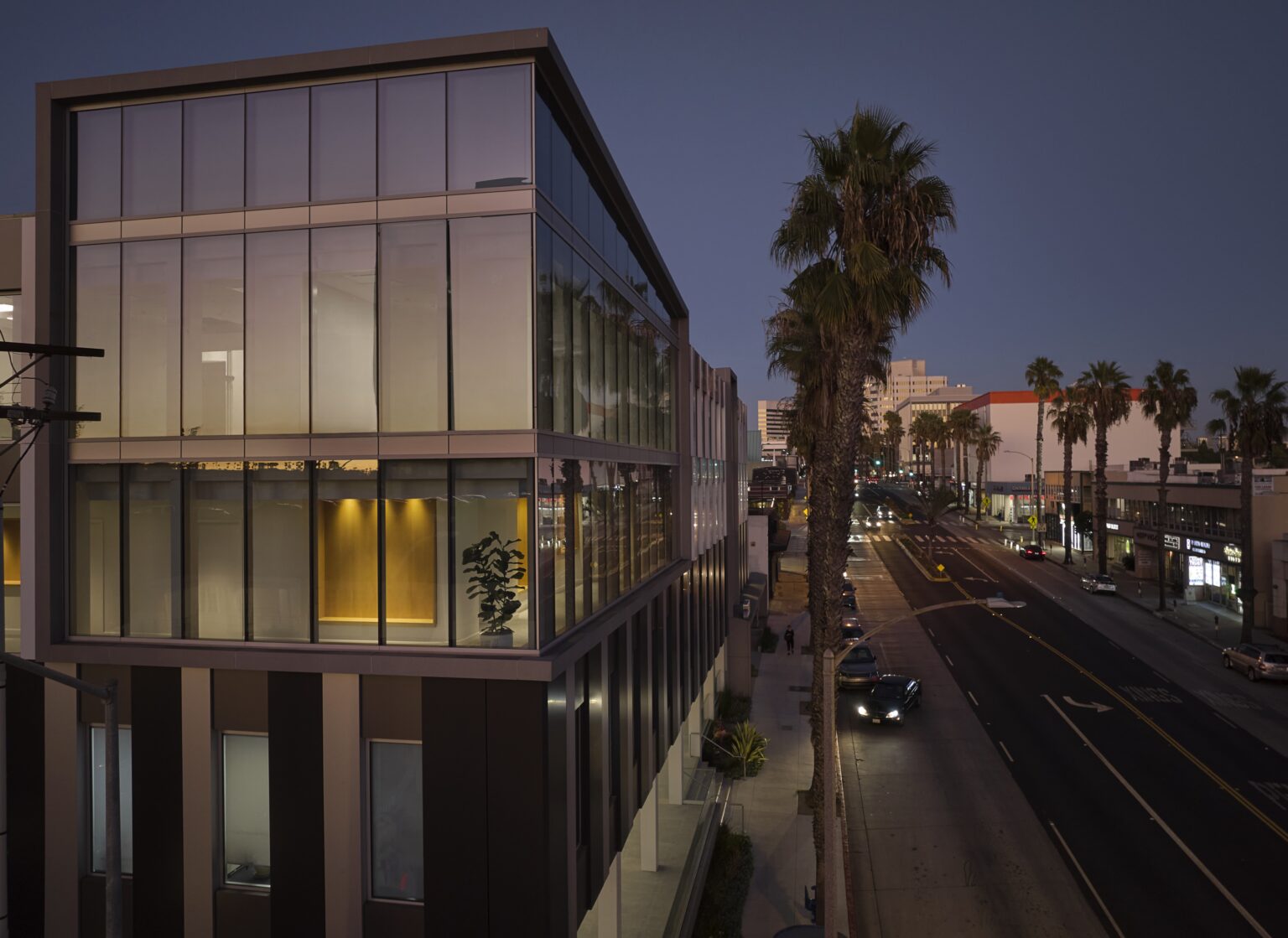 Orthopedic Clinic Santa Monica | Sports Medicine & Spine Care | Commons ...