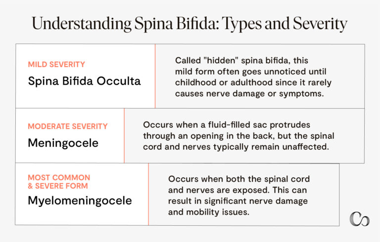 Spina Bifida in Adults 101: Types, Tests and Treatments - Commons Clinic