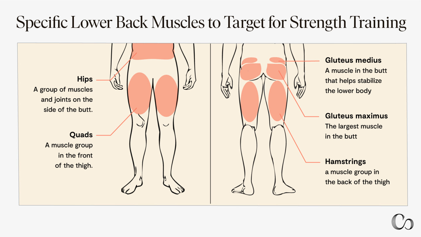 13 Best Physical Therapy (Physiotherapy) Exercises for Lower Body Pain ...