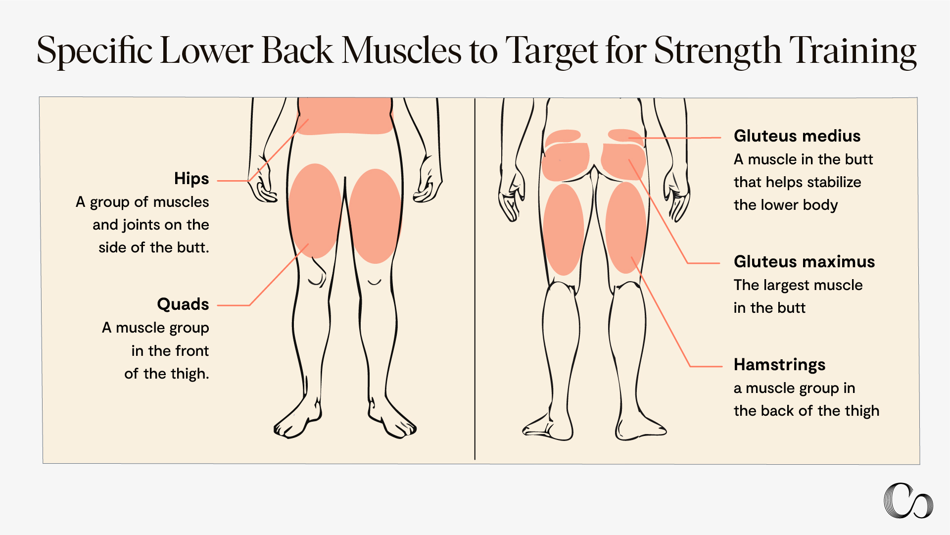 13 Best Physical Therapy (Physiotherapy) Exercises for Lower Body Pain ...
