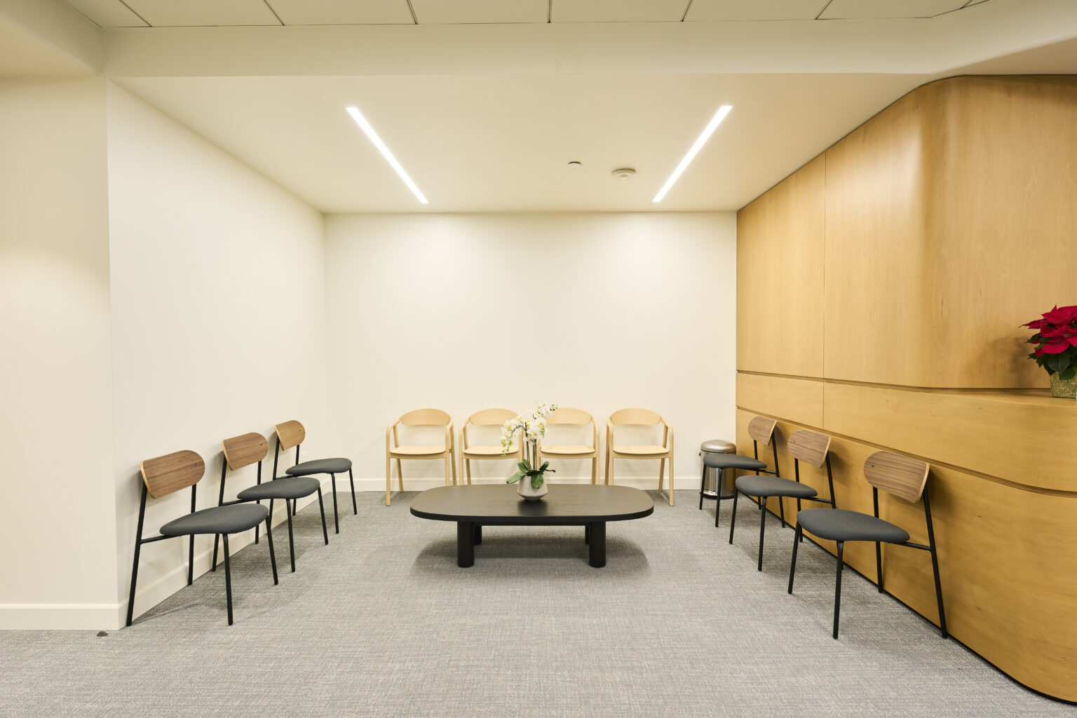 Where Care Meets Comfort: Inside Commons Clinic - Commons Clinic